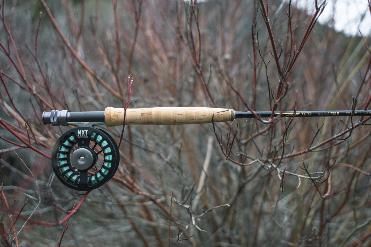 Fly Rod TFO PRO II